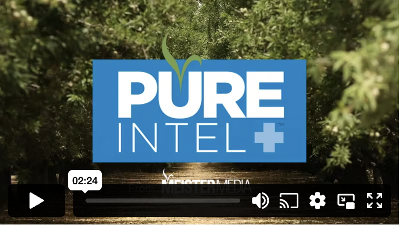 Home - Pure Intel
